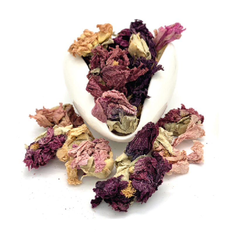 Blue Mallow – Bloom Herb Therapy